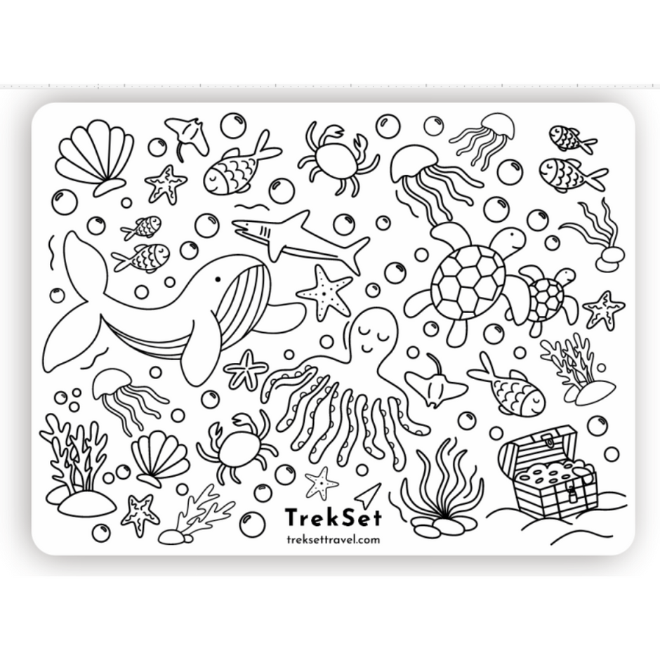 Reusable Silicone Coloring Mat | Mess-Free Fun for Kids | Travel ...